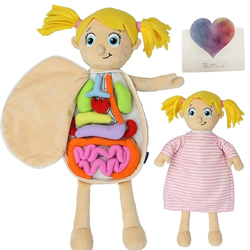 weilishun Human Body Anatomy Toy for Kids -Soft Plush Anatomy Doll, DIY Human Body Model Awareness Teaching Tools & Preschool Science Learning Toy(Pink)