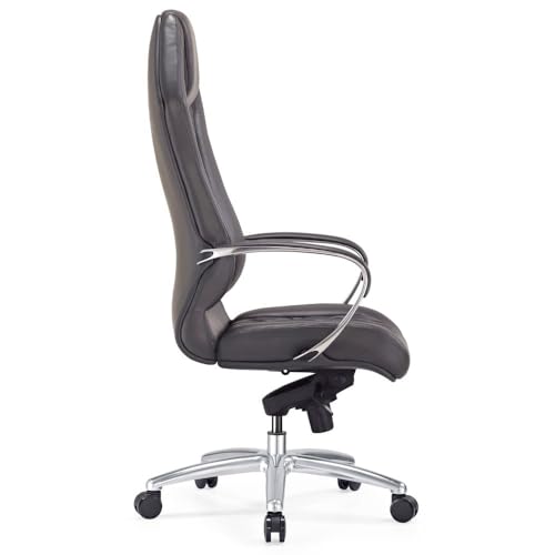 ZURI Furniture Modern Ergonomic Sterling Genuine Leather Executive Chair with Aluminum Base - Dark Grey