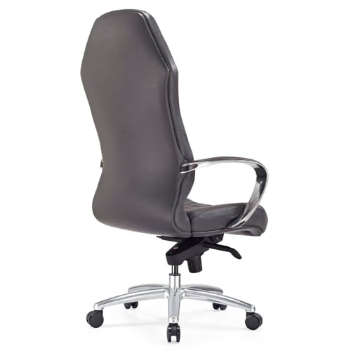 ZURI Furniture Modern Ergonomic Sterling Genuine Leather Executive Chair with Aluminum Base - Dark Grey