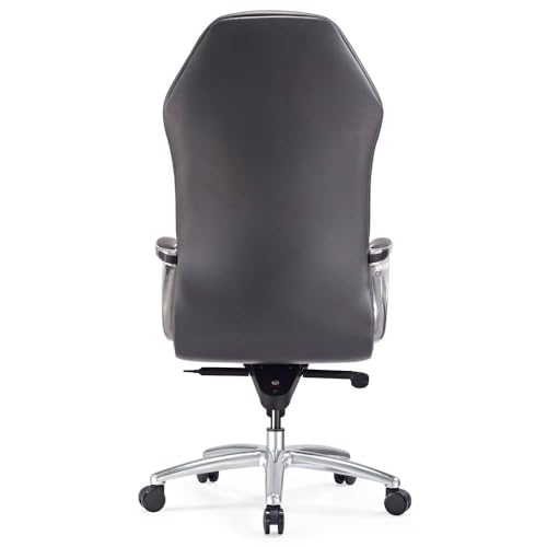 ZURI Furniture Modern Ergonomic Sterling Genuine Leather Executive Chair with Aluminum Base - Dark Grey