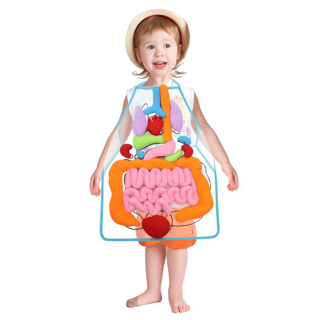AIPINQI Anatomy Apron,Body Anatomy Apron Kids Human Body Organs Awareness Educational Toys for Children Preschool Science Homeschool Teaching Aids
