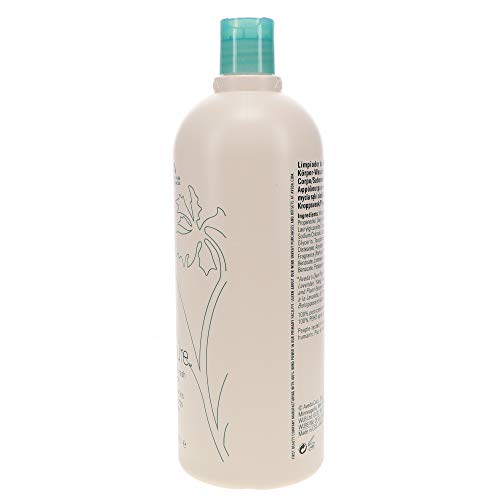 Aveda Shampure BB Hand/Body Wash, 33.8 Ounce