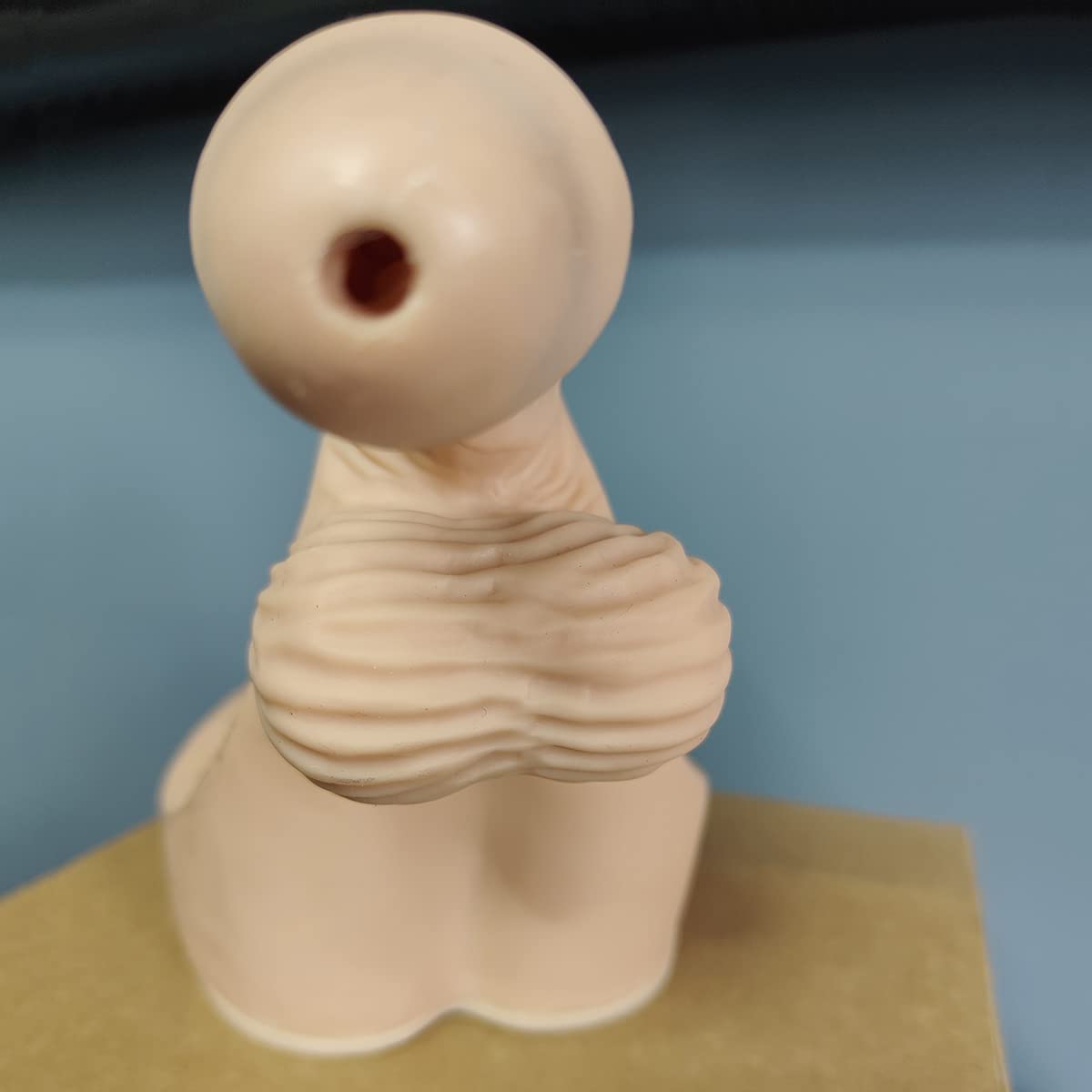 SIULAS Male Reproductive Organ Model - Anatomical Training Manikin - PVC Material, Light Brown, For Medical Professionals, Students, and Educators
