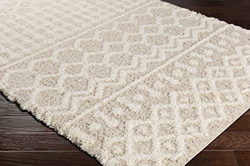 Artistic Weavers Hapsburg Moroccan Shag Area Rug, 6'7" x 9'6", Beige