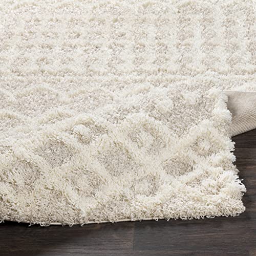 Artistic Weavers Hapsburg Moroccan Shag Area Rug, 6'7" x 9'6", Beige