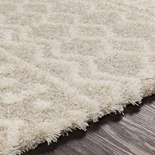 Artistic Weavers Hapsburg Moroccan Shag Area Rug, 6'7" x 9'6", Beige