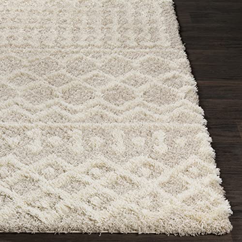 Artistic Weavers Hapsburg Moroccan Shag Area Rug, 6'7" x 9'6", Beige