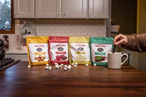 Land O Lakes Cocoa Classics S'mores Cocoa Mix Pouch, 14.8 Ounce (Pack of 1)