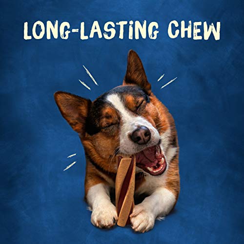 Purina Busy With Beggin' Made in USA Facilities Small/Medium Breed Dog Treats, Twist'd - 6 ct. Pouch