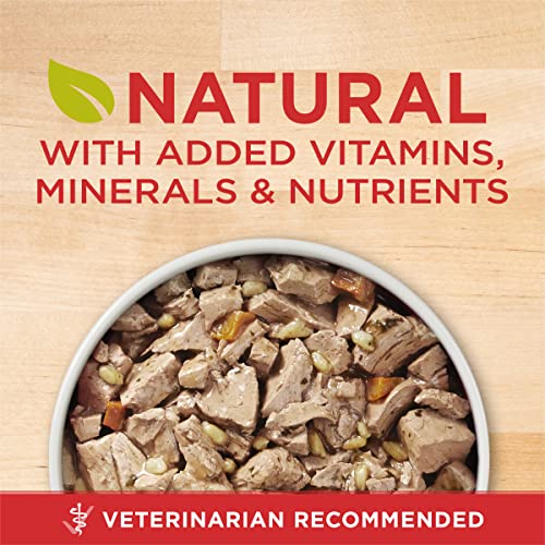 Purina ONE Tender Cuts In Wet Dog Food Gravy Chicken And Brown Rice Entree - (12) 13 Oz. Cans