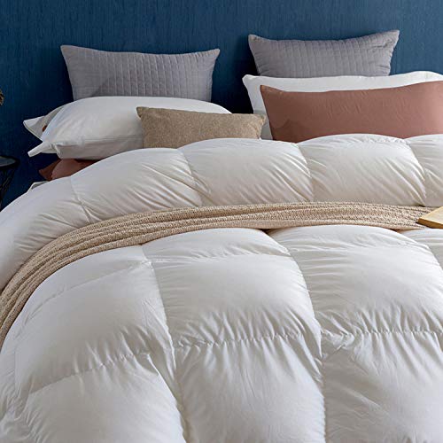 Royoliving Premium Greyduck Feathers Down Comforter Queen Full Size All Season Medium Warmth Solid White 100% Cotton Cover Down Proof Duvet Insert with Corner Tabs, 50 Oz