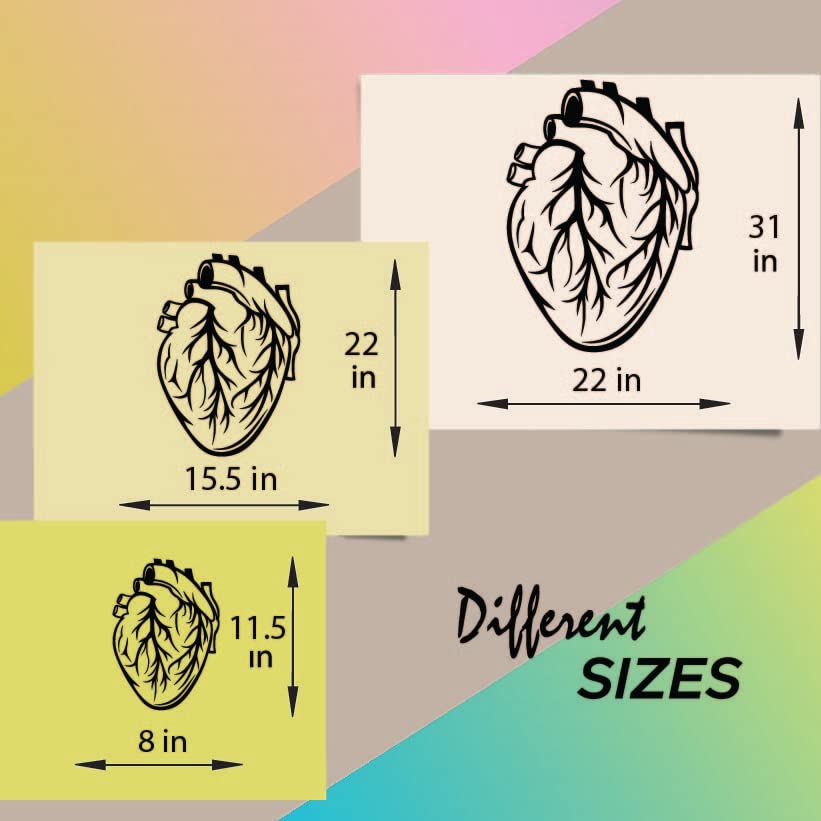 Wall Vinyl Decal Home Decor Art Sticker Human Heart Internal Organ Anatomy Room Removable Stylish Mural Unique Design 2215
