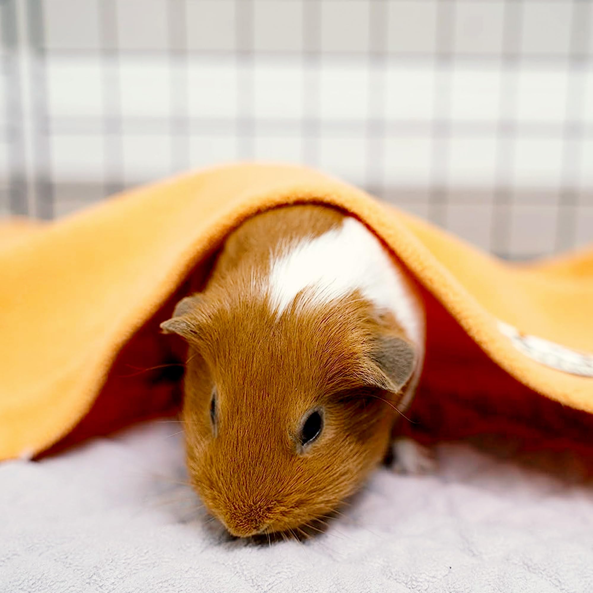 GuineaDad Original Liner - Orange Fleece Guinea Pig Bedding - Reusable Guinea Pig Cage Liner - Extra Absorbent with Waterproof Bottom and Burrowing Pocket - Small Pet Supplies - 2x3 C&C