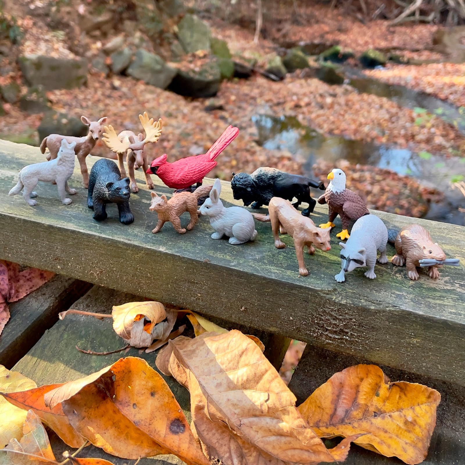 Safari Ltd. Nature TOOB - 12 Mini Figurines with Rabbit, Beaver, Doe, Gray Wolf, Fox, Black Bear, Moose, Mountain Lion, Bald Eagle, and More - Educational Toy for Boys, Girls & Kids Ages 3+
