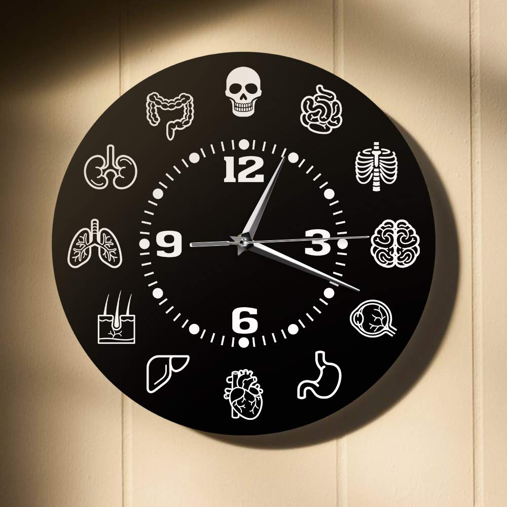 The Geeky Days Human Body Internal Organs Anatomy Wall Clock Anatomical Medical Wall Art Silent Sweep Wall Watch Doctors Biology Student Gift