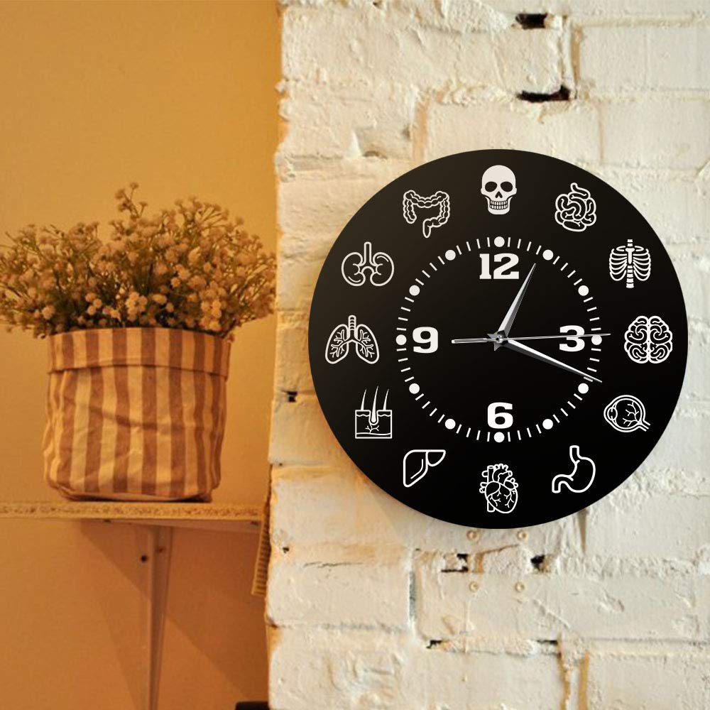 The Geeky Days Human Body Internal Organs Anatomy Wall Clock Anatomical Medical Wall Art Silent Sweep Wall Watch Doctors Biology Student Gift