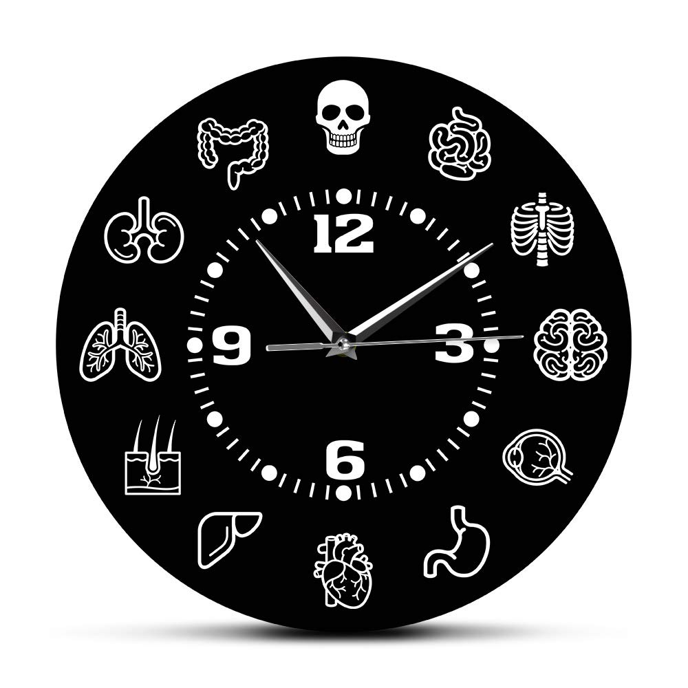 The Geeky Days Human Body Internal Organs Anatomy Wall Clock Anatomical Medical Wall Art Silent Sweep Wall Watch Doctors Biology Student Gift