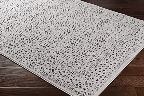 Sattley Modern Farmhouse Living Room Bedroom Dining Room Area Rug - Transitional Bohemian Carpet - Non Shed, Stain Resistant - Beige, Grey, Black, Cream, Ivory - 5'3" x 7'3"