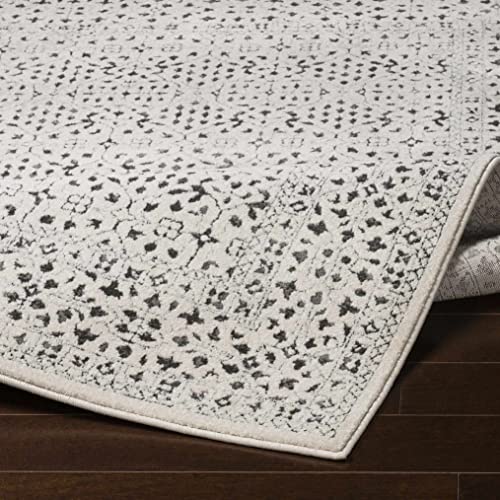 Sattley Modern Farmhouse Living Room Bedroom Dining Room Area Rug - Transitional Bohemian Carpet - Non Shed, Stain Resistant - Beige, Grey, Black, Cream, Ivory - 5'3" x 7'3"