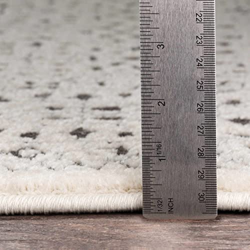 Sattley Modern Farmhouse Living Room Bedroom Dining Room Area Rug - Transitional Bohemian Carpet - Non Shed, Stain Resistant - Beige, Grey, Black, Cream, Ivory - 5'3" x 7'3"