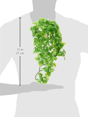 Zoo Med Laboratories SZMBU21 Natural Bushy Amazon Phyllo, Medium