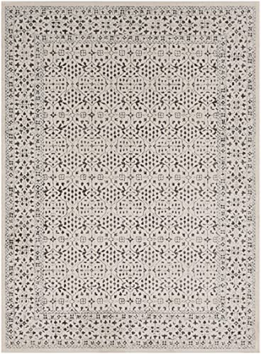 Sattley Modern Farmhouse Living Room Bedroom Dining Room Area Rug - Transitional Bohemian Carpet - Non Shed, Stain Resistant - Beige, Grey, Black, Cream, Ivory - 5'3" x 7'3"