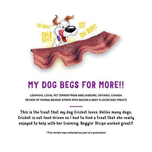 Purina Beggin' Strips With Real Meat Dog Treats With Bacon And Beef Flavors - (2) 26 OZ. Pouches