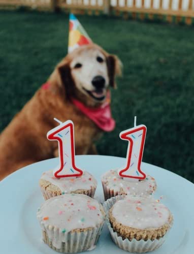The Lazy Dog Cookie Co. Bake-at-Home Vanilla Birthday Cake Mix Dog Treat, 12-oz