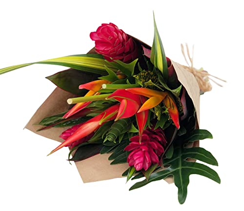 BloomsyBox - Tropical Bouquet Treasure with Bright Heliconias, Pink Ginger and Tropical Greenery (Fresh Cut Flowers)