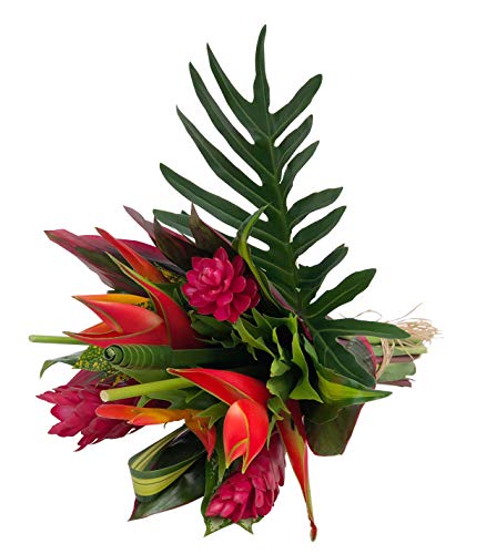 BloomsyBox - Tropical Bouquet Treasure with Bright Heliconias, Pink Ginger and Tropical Greenery (Fresh Cut Flowers)