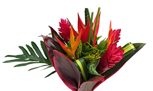 BloomsyBox - Tropical Bouquet Treasure with Bright Heliconias, Pink Ginger and Tropical Greenery (Fresh Cut Flowers)