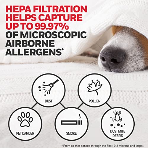 Honeywell HEPA Air Purifier Filter Kit β Includes 3 HEPA R Replacement Filters and 4 A Carbon Pre-Cut Pre-Filters β Airborne Allergen Air Filter Targets Wildfire/Smoke, Pollen, Pet Dander, and Dust