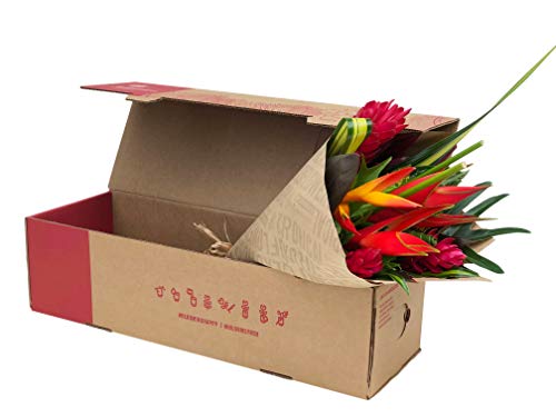 BloomsyBox - Tropical Bouquet Treasure with Bright Heliconias, Pink Ginger and Tropical Greenery (Fresh Cut Flowers)