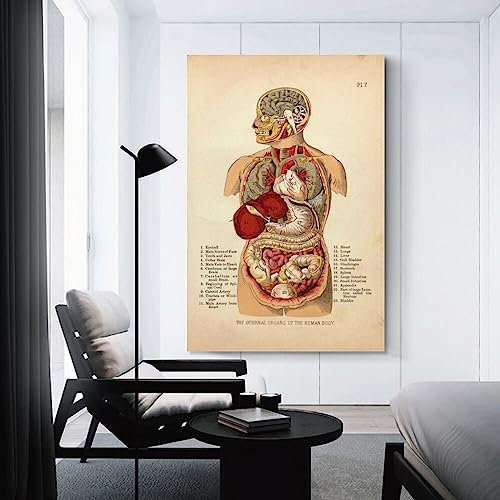 Internal Organs Of The Human Body From The Household Physician Canvas Wall Art Print Poster For Home School Office Decor Unframe 12x18inch(30x45cm)