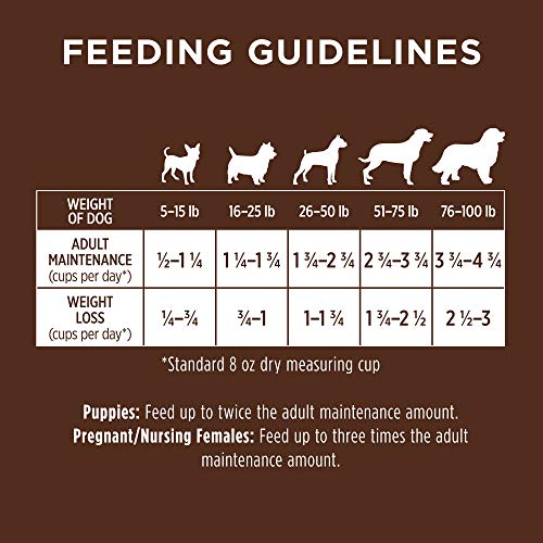 Instinct Be Natural Real Salmon & Brown Rice Recipe Natural Dry Dog Food, 4.5 lb. Bag