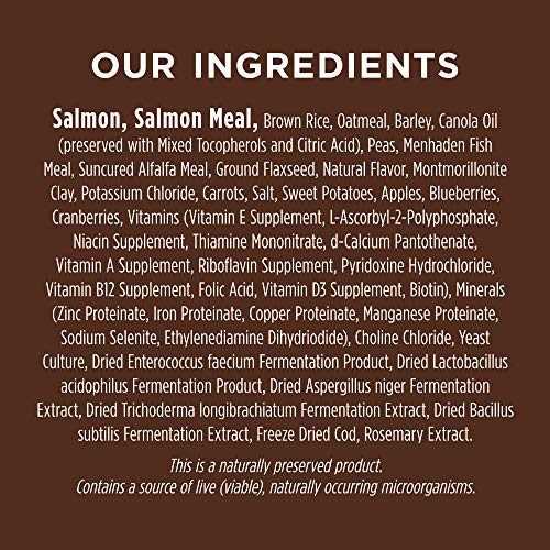Instinct Be Natural Real Salmon & Brown Rice Recipe Natural Dry Dog Food, 4.5 lb. Bag