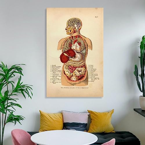 Internal Organs Of The Human Body From The Household Physician Canvas Wall Art Print Poster For Home School Office Decor Unframe 12x18inch(30x45cm)