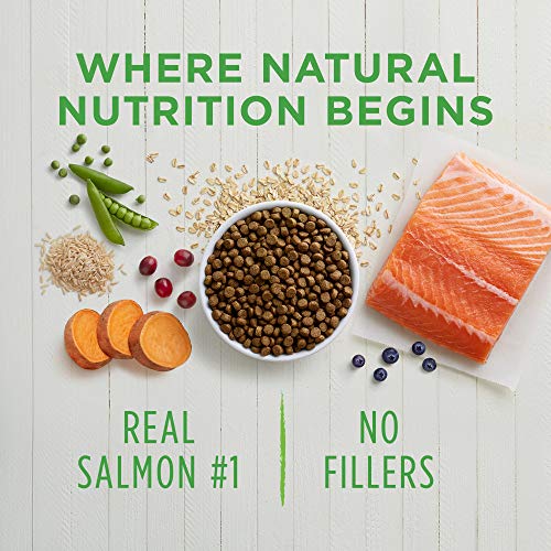 Instinct Be Natural Real Salmon & Brown Rice Recipe Natural Dry Dog Food, 4.5 lb. Bag