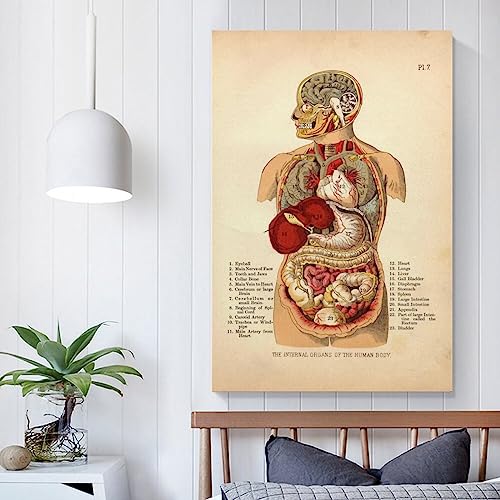 Internal Organs Of The Human Body From The Household Physician Canvas Wall Art Print Poster For Home School Office Decor Unframe 12x18inch(30x45cm)