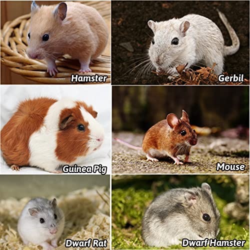 BNOSDM Wooden Hamster Platform for Cage with Ladder Dwarf Hamster Standing Platform Wood Rat Cage Accessories Exercise Toy for Mouse Guinea Pig Chinchilla Gerbil Squirrel (S)