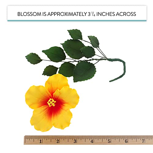 Global Sugar Art Hibiscus Sugar Cake Flowers, Assorted Colors, 5 Count and Leaf Sprays by Chef Alan Tetreault