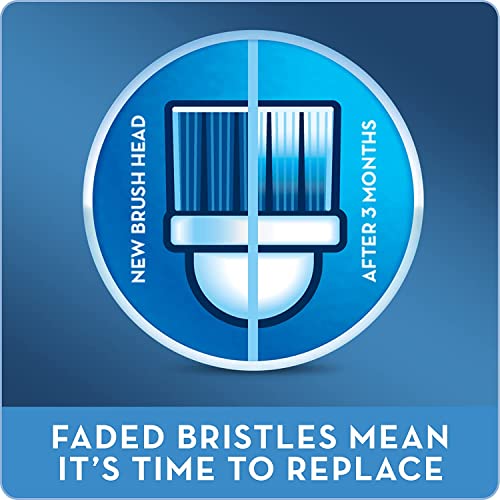 Genuine Original Oral-B Braun Precision Clean Replacement Rechargeable Toothbrush Heads (10 Count) - International Version, German Packaging
