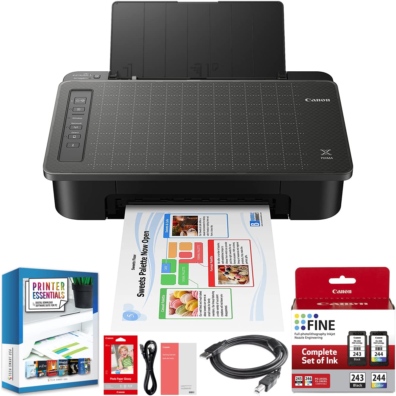 Canon PIXMA TS302 Wireless Inkjet Printer 2321C002 Compatible with Alexa, Mobile and Photo Printing, Wi-Fi and Bluetooth & Compatible with AirPrint Bundle DGE USB Print Cable + Business Software Kit