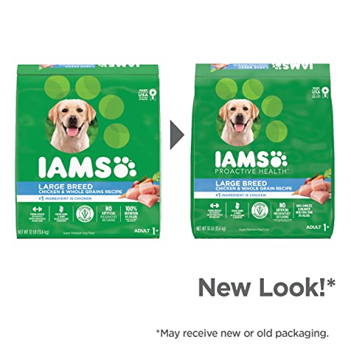 IAMS Adult High Protein Large Breed Dry Dog Food with Real Chicken, 30 lb. Bag