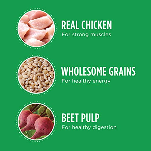 IAMS Adult High Protein Large Breed Dry Dog Food with Real Chicken, 30 lb. Bag