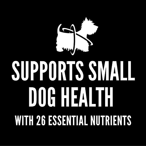 CESAR Small Breed Dry Dog Food Rotisserie Chicken Flavor with Spring Vegetables Garnish, 2.7 lb. Bag