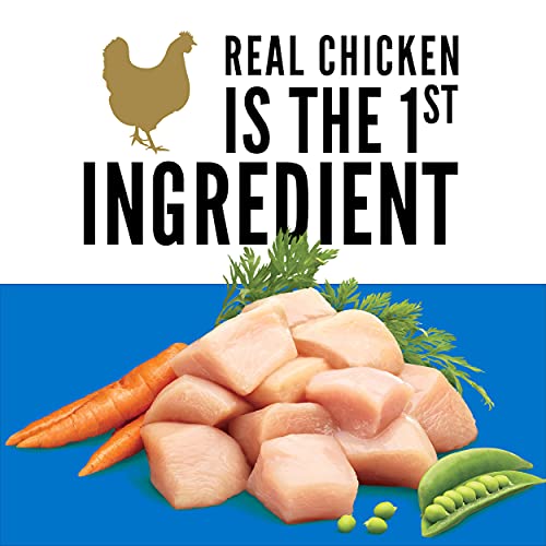 CESAR Small Breed Dry Dog Food Rotisserie Chicken Flavor with Spring Vegetables Garnish, 2.7 lb. Bag