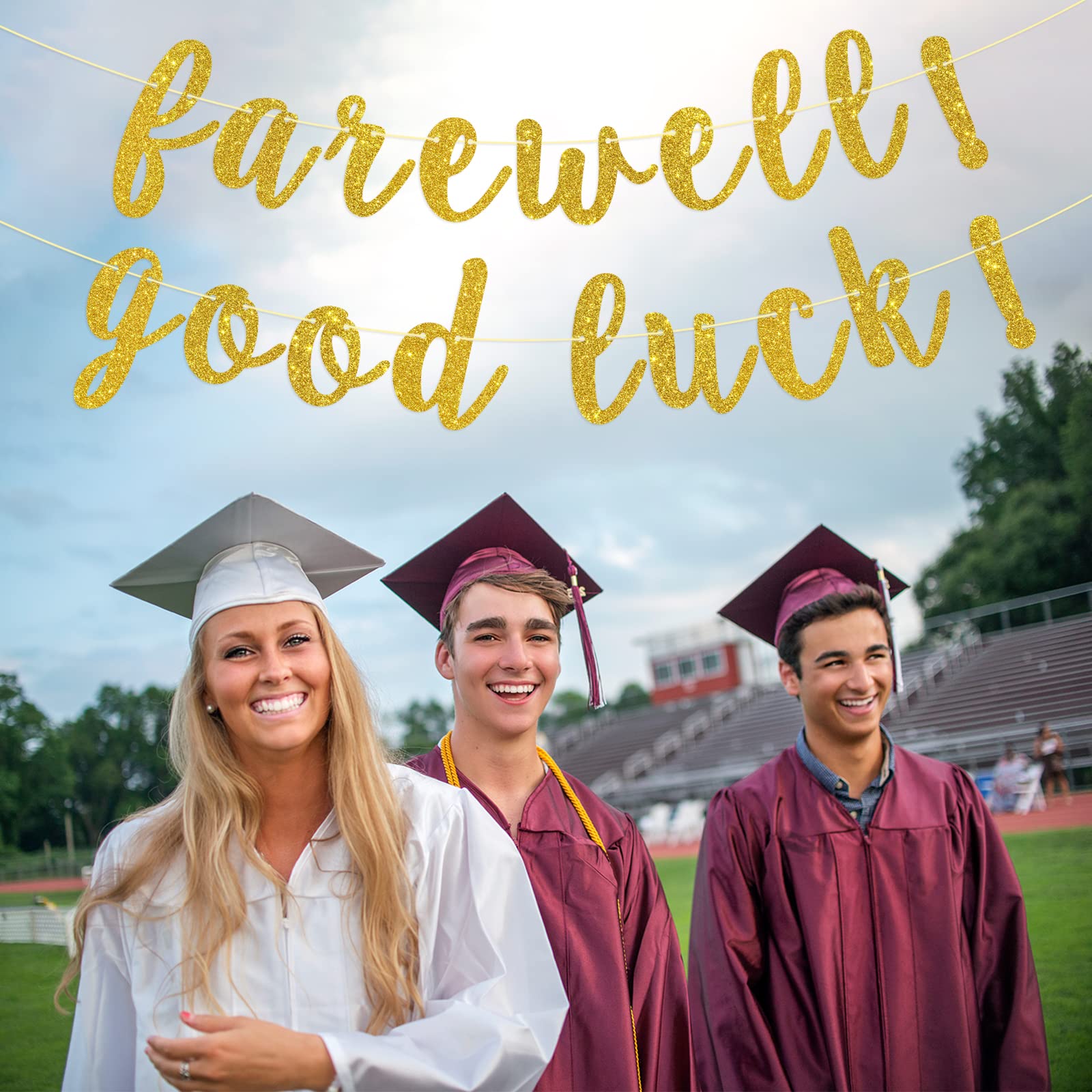 Dill-Dall Farewell Good Luck Banner, Farewell Banner, Going Away Party / Retirement / Graduation / Moving / Job Changing Party Decorations (Gold)