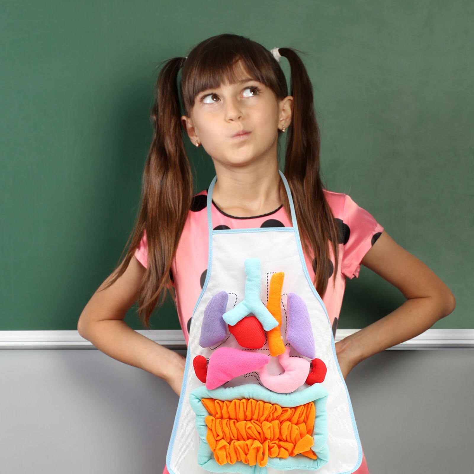 NUOBESTY 3D Apron Anatomy Apron Human Body Organs Awareness Educational Tool for Home Preschool Teaching Aid 64cm Educational