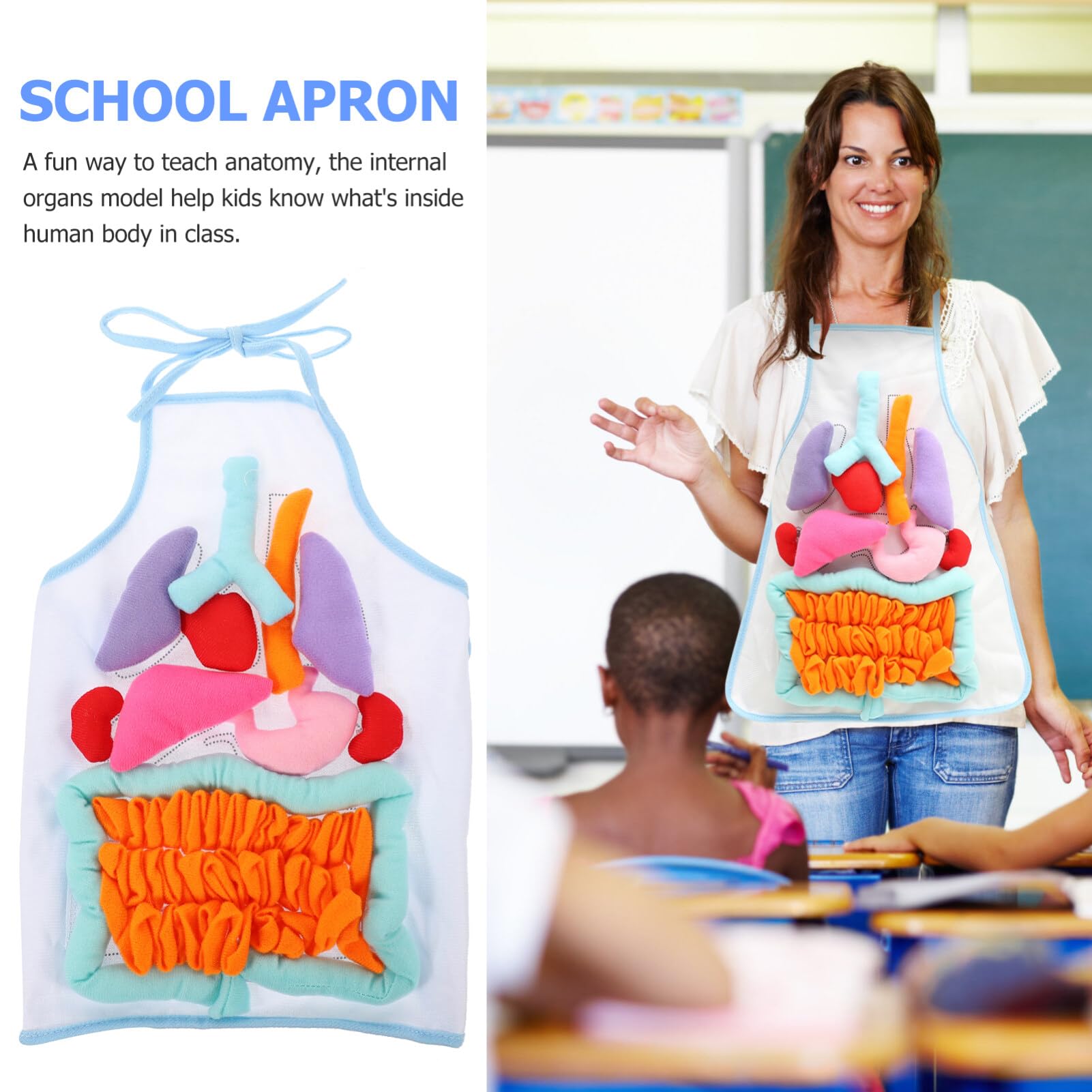 NUOBESTY 3D Apron Anatomy Apron Human Body Organs Awareness Educational Tool for Home Preschool Teaching Aid 64cm Educational